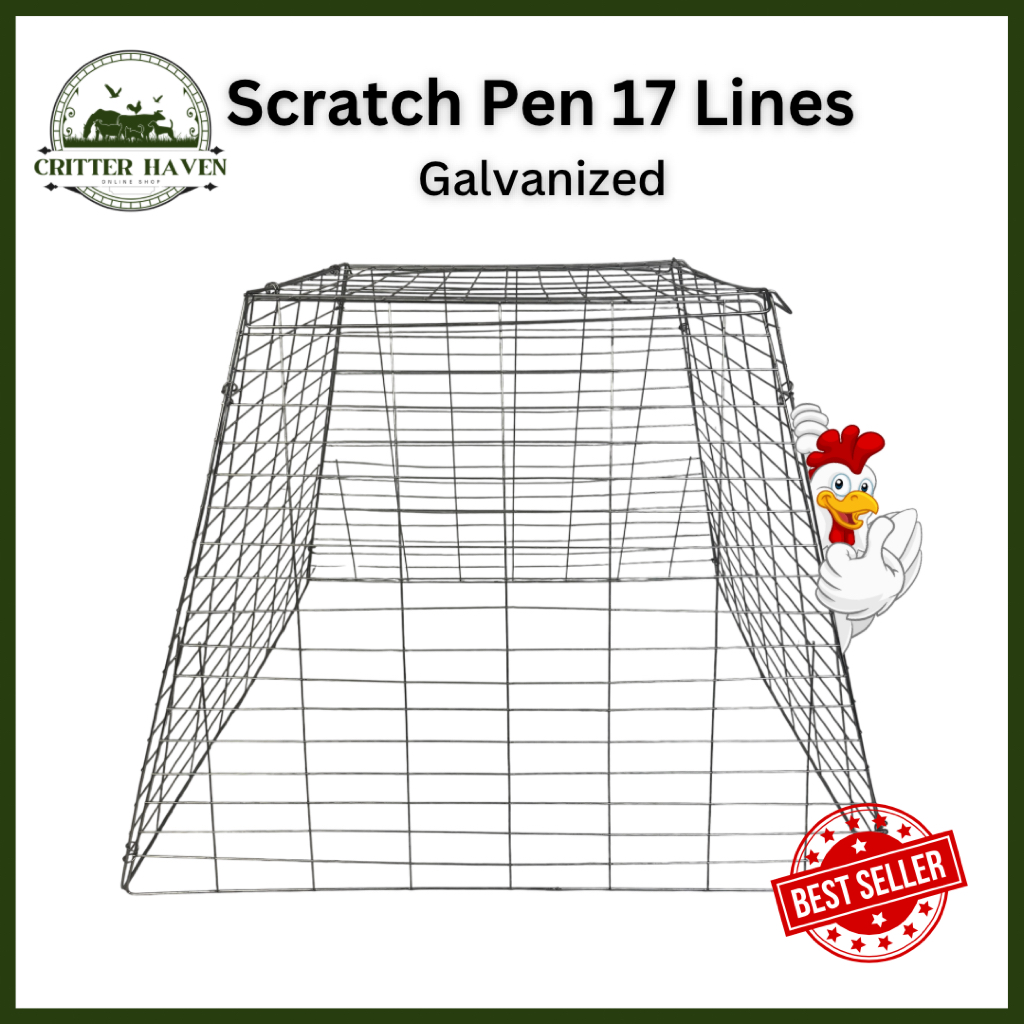 17 Lines Galvanized Scratch Pen / Game fowl / Cock cage / Kulungan ng ...