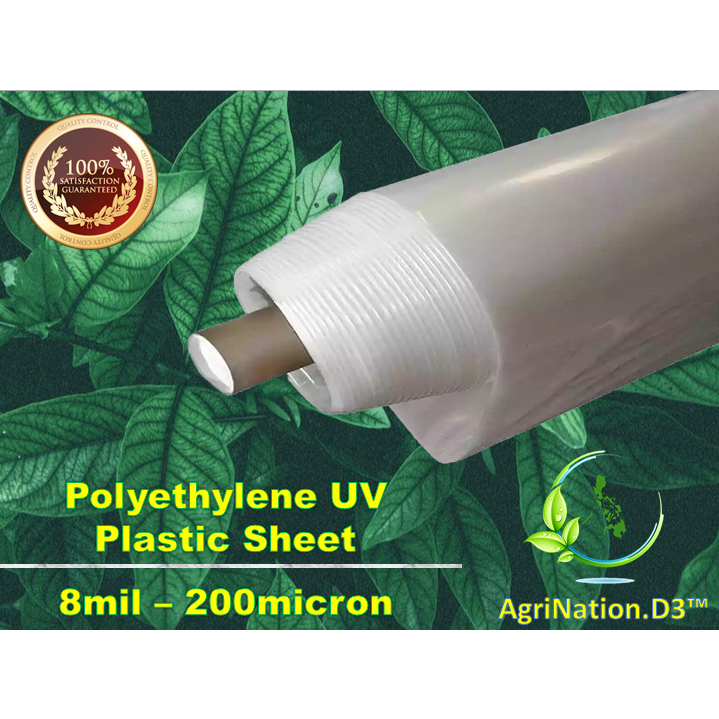 UV Plastic Sheet (10mil - 200Microns) - 10ft x 10 metera | Shopee ...