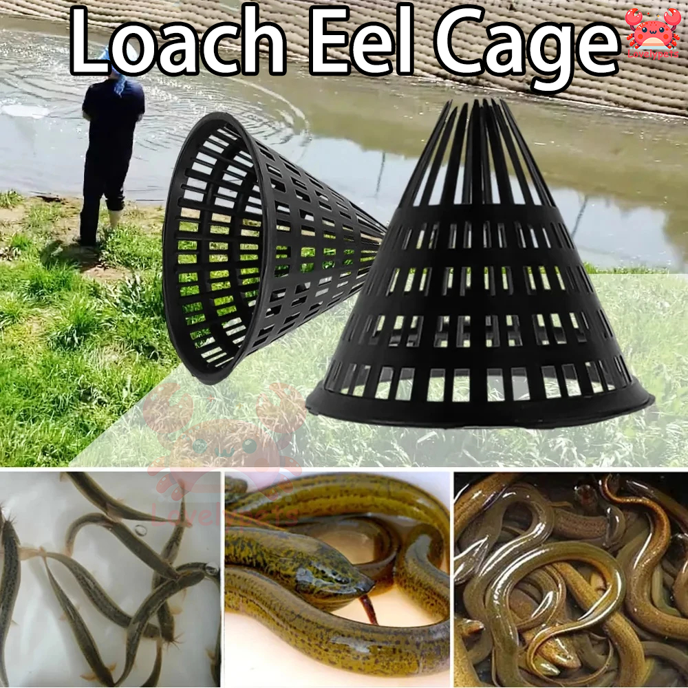 Thickened Loach Capture Cage Black Conical Loach Eel Cage Crab Catcher ...