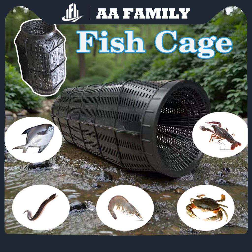 Fishnet Eel Loach Trap Fishing Cage Fishnet Automatic Eel Cage Plastic ...