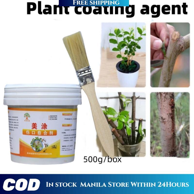 100/500g Plant Tree Wound Cut Paste Bonsai Pruning Cutting Paste With ...
