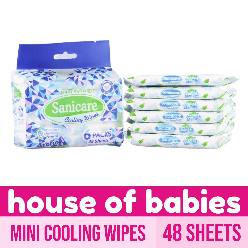 Shop sanicare wipes for Sale on Shopee Philippines
