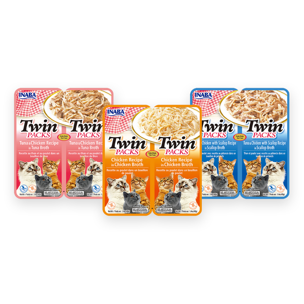Inaba Twin Packs Cat Food 40g x 2 packs | Shopee Philippines