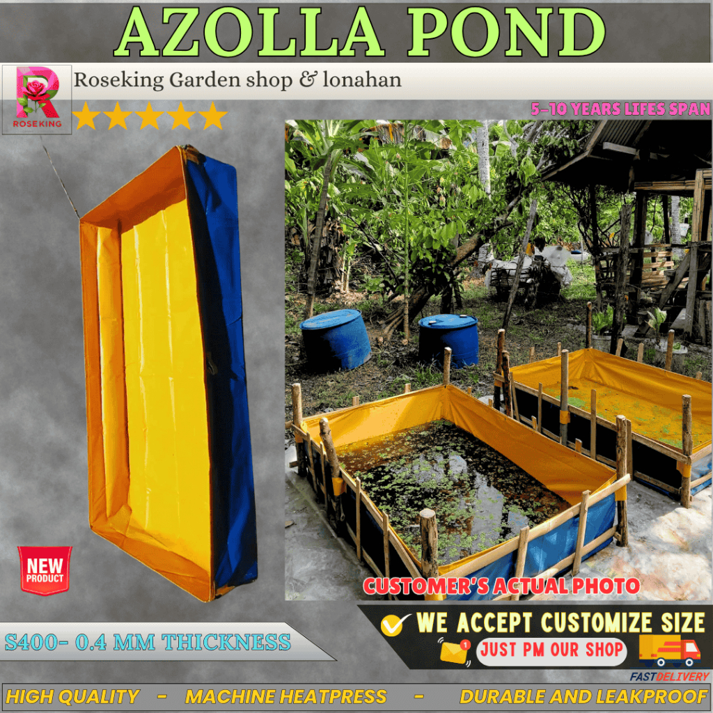 AZOLLA BED/FISH TANK AND CRAYFISH POND 4FT X4FT X6 INCHES | HEAVY DUTY ...