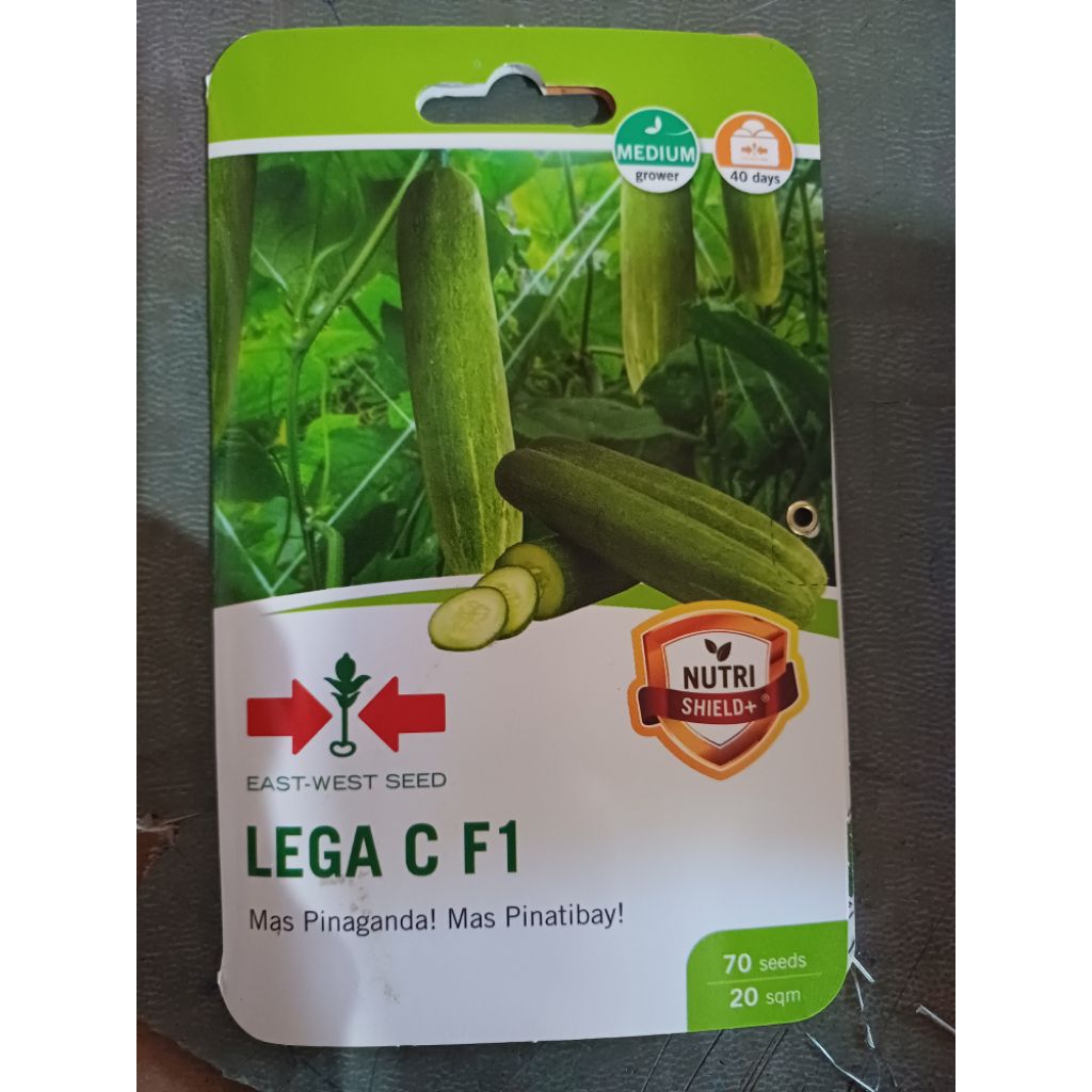 LEGA C f1 pipino(70seeds) | Shopee Philippines
