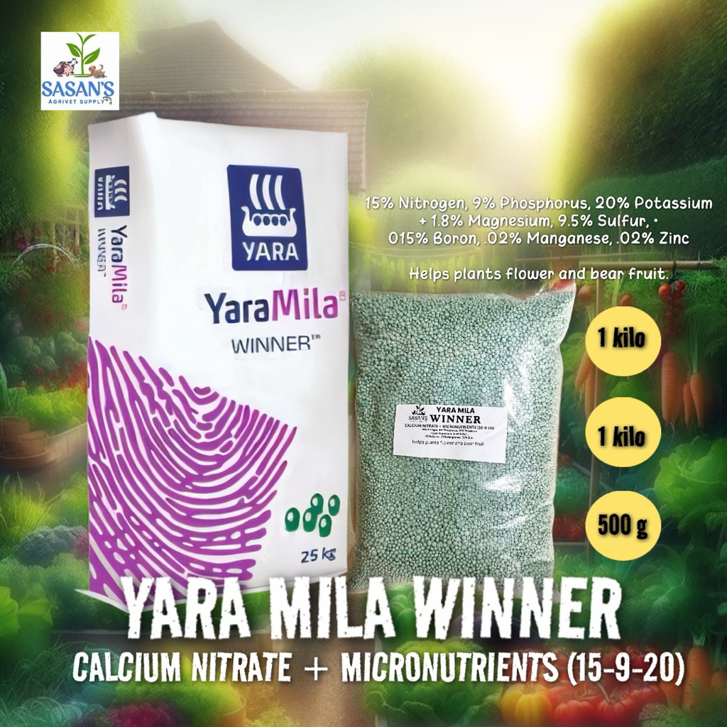 YARAMILA WINNER PAMPABULAKLAK (15-9-20) available in 500g, 1 kilo, 3 ...