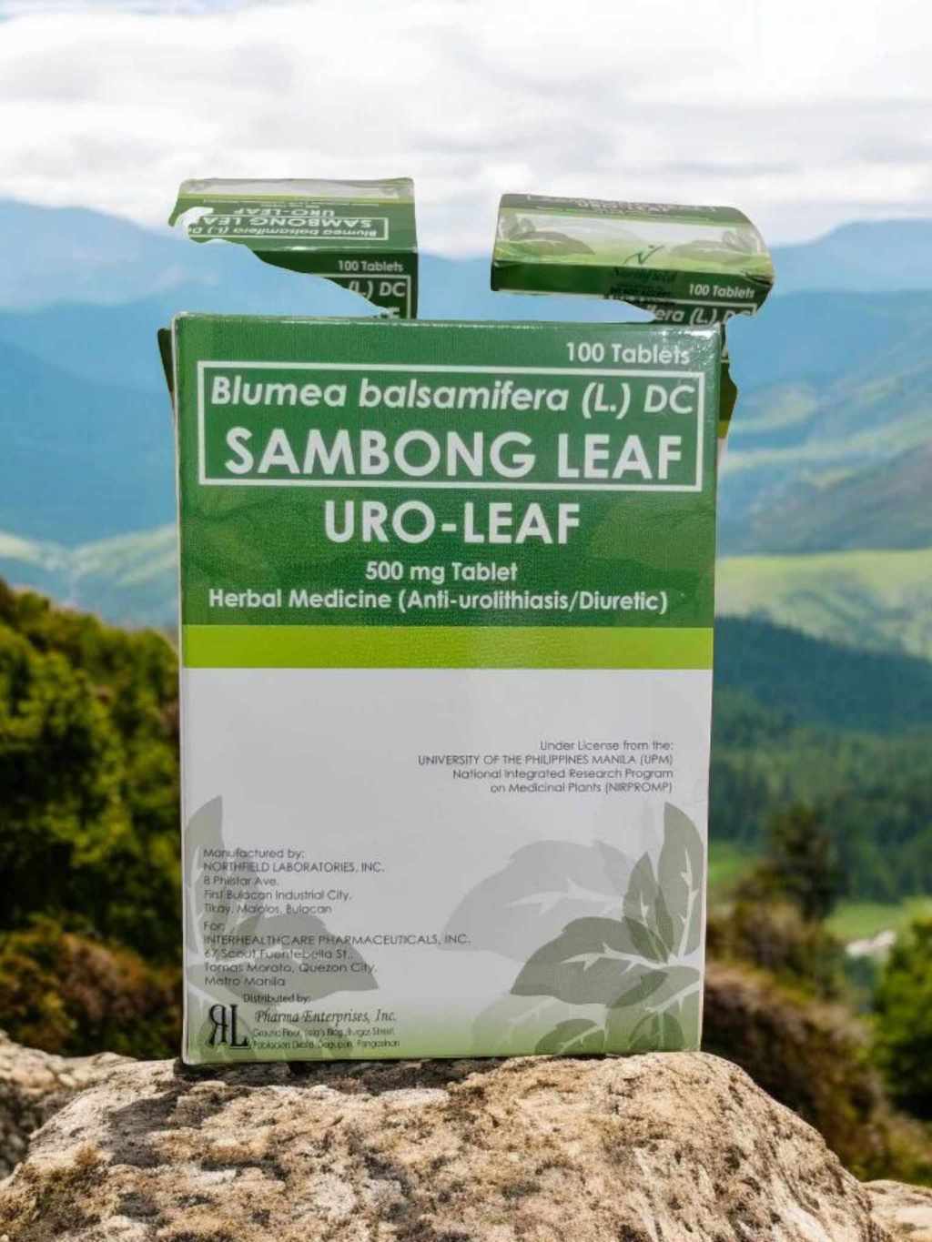 SAMBONG LEAF (URO - LEAF) 500 mg 100s Tablet | Shopee Philippines