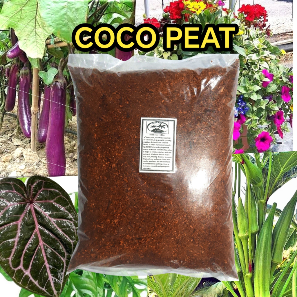 Shop coco coir for Sale on Shopee Philippines