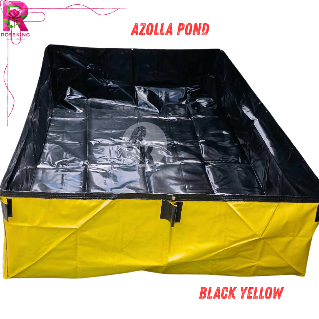 Fish tank crayfish tank pool style heavy duty trapal pond makapal | 3 ...