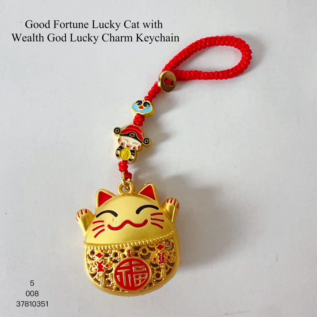 Fengshui Lucky Cat Wealth Cat Maneki Neko with Wealth God Lucky Charm ...