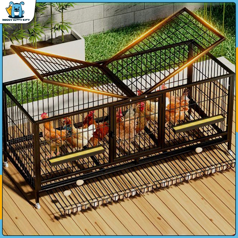 Auto Egg Collector Chicken Cage - Heavy Duty Galvanized Steel Coop for ...