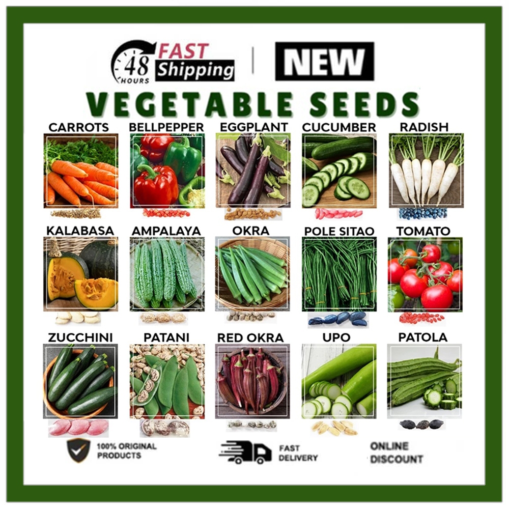 Vegetables Gardening Seeds Different kinds of Seeds Delivery Fast ...