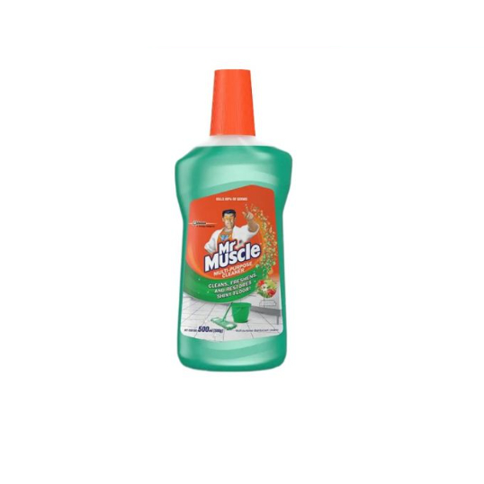 Mr Muscle All-Purpose Cleaner 500ml – Multi-Surface Disinfectant ...