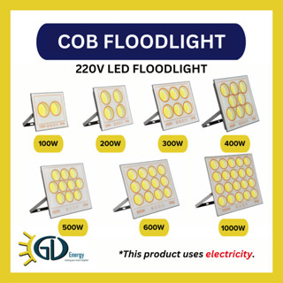 Electric 220V LED Light 100W 200W 300W 400W 500W Outdoor Lamp ...