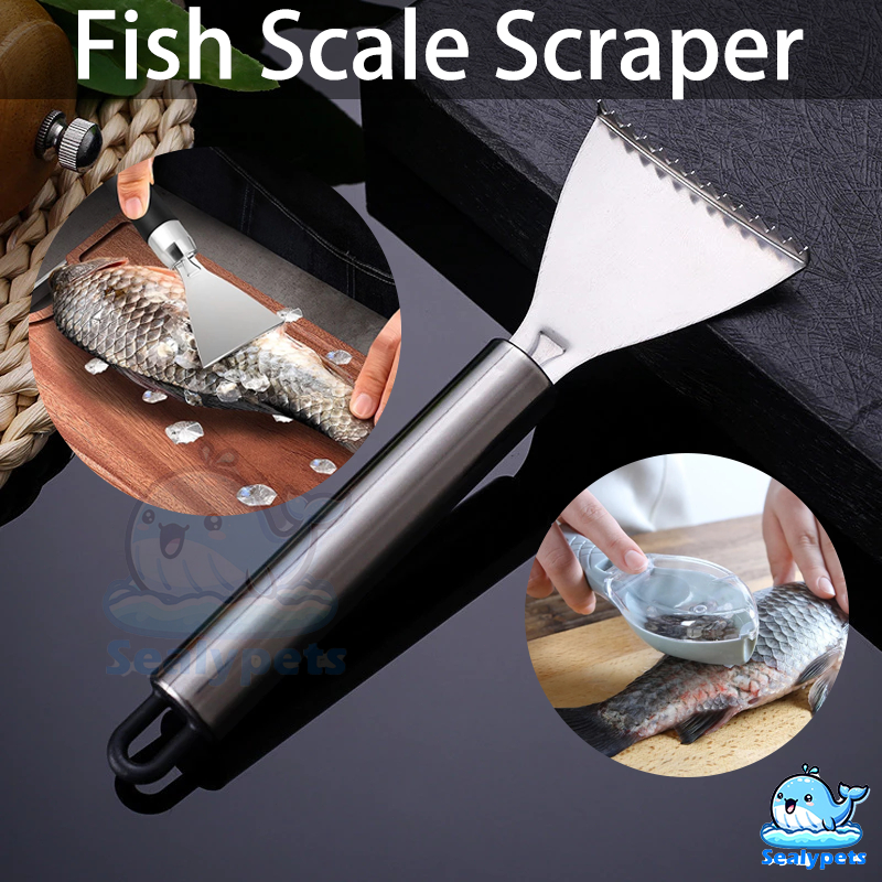 Fish Scalping Scraper Fish Scale Remover Stainless Steel Fish Scale ...