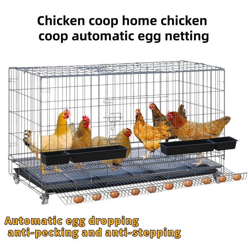 chicken cage kulungan ng manok chicken cage for laying eggs foldable ...