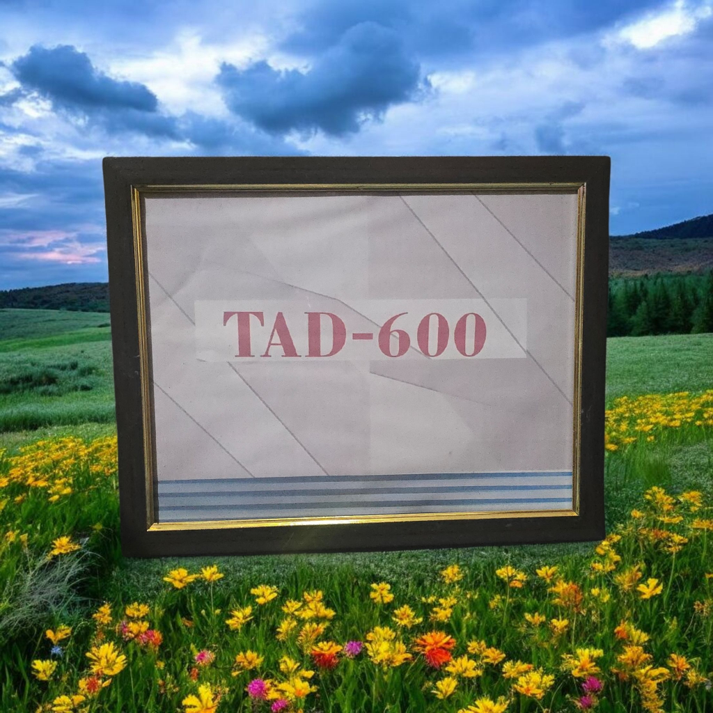 TAD wall frame design | Shopee Philippines