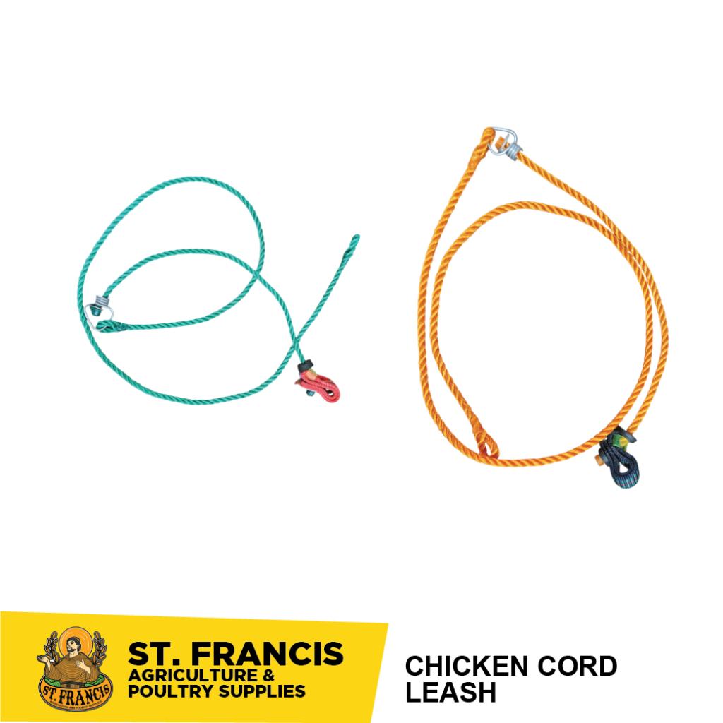 CHICKEN CORD (TALI NG MANOK) | Shopee Philippines