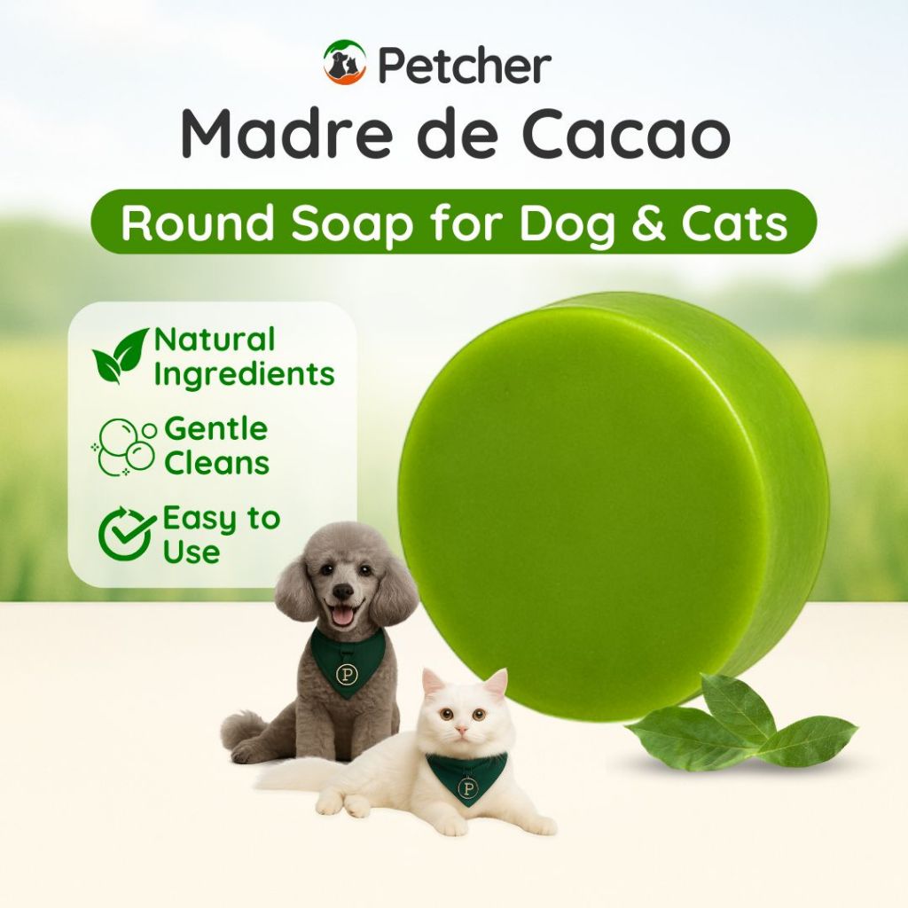 Petcher Madre De Cacao Round Soap 50g Hair Care for Dogs and Cats ...