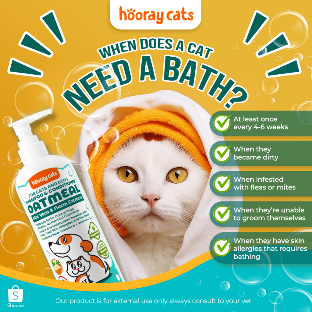 4IN1 Cats and Dog's Oatmeal Shampoo and Conditioner with ALOE VERA and NEEM EXTRACTS by Hooray ...