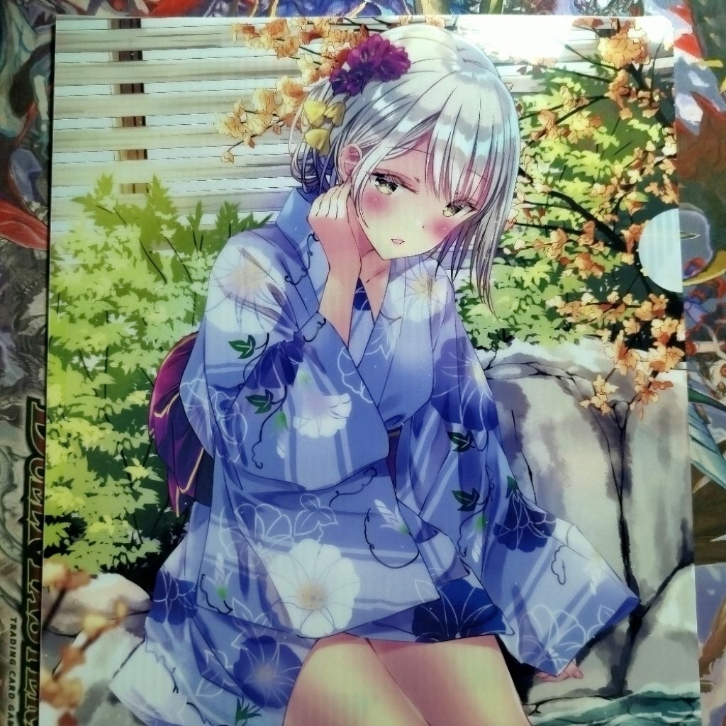 Official Anime Folders A4 from Japan | Loose | Anime Merch [35each min ...