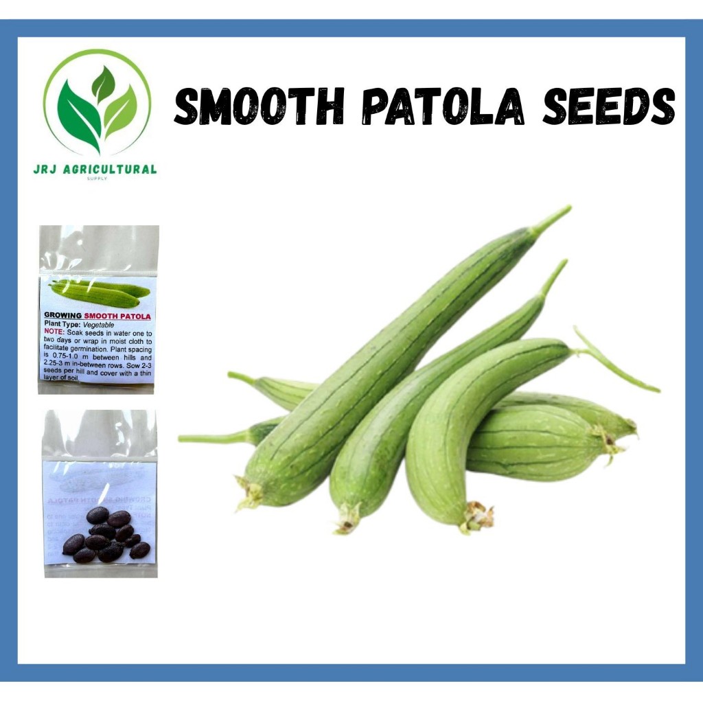 Smooth Patola Seeds/Hybrid ( 10pcs Seeds ) - 1pack | Shopee Philippines
