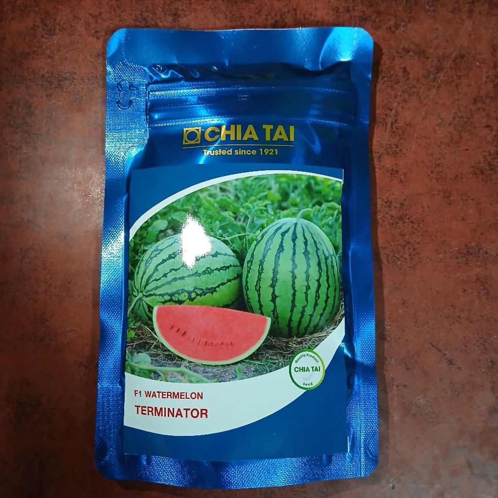 TERMINATOR F1 (100 GRAMS) HYBRID WATERMELON / PAKWAN SEEDS BY CHIA TAI ...