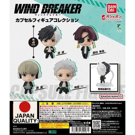 TV Anime "WIND BREAKER" Capsule Figure Collection | Shopee Philippines