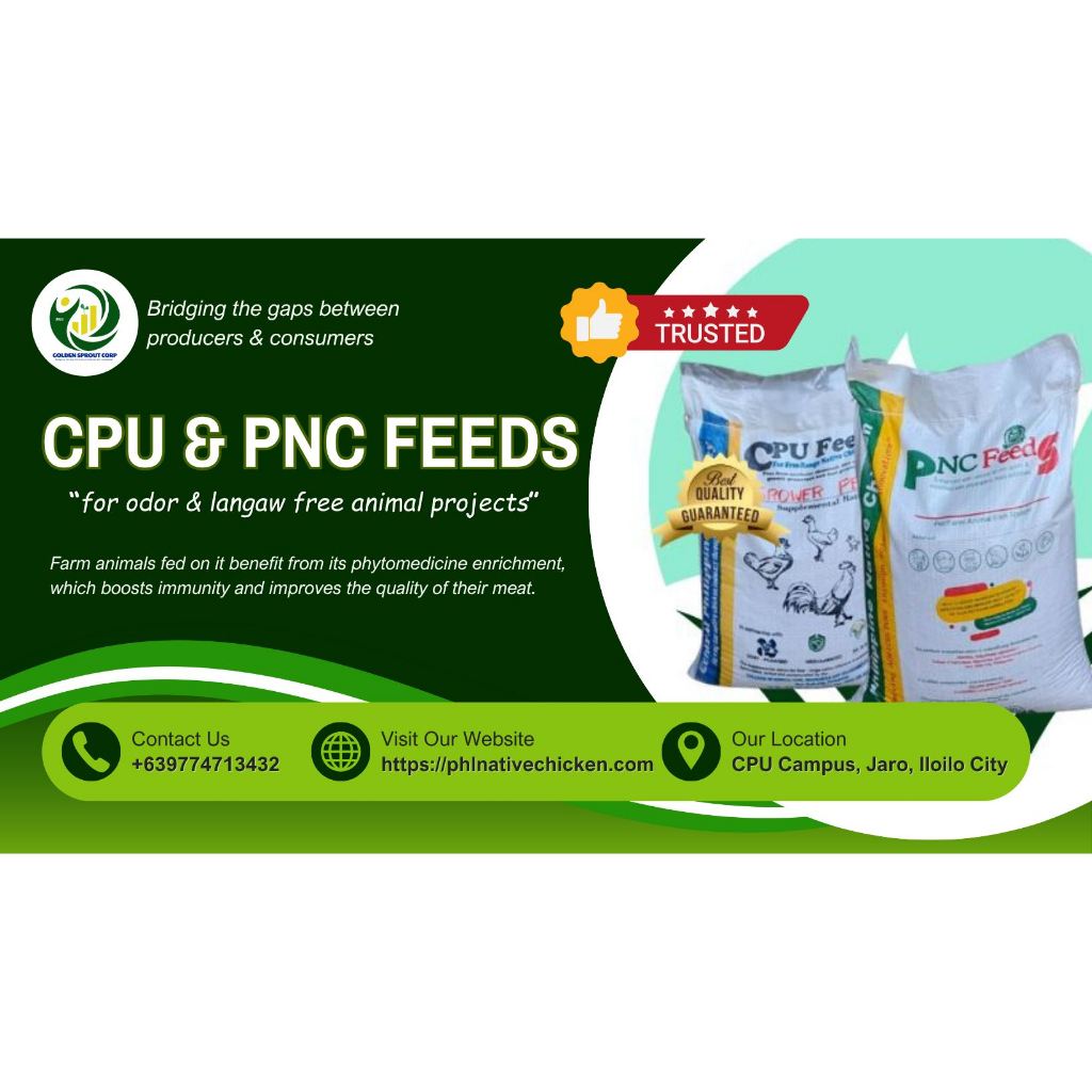 PNC Mash Feeds for Native Chickens | Shopee Philippines