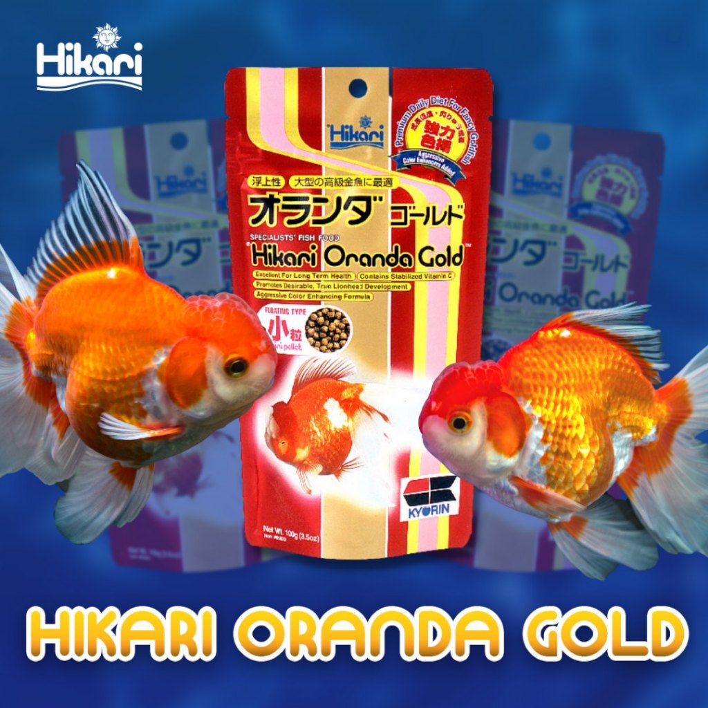 Hikari Oranda Gold Mini Floating 300g | Shopee Philippines
