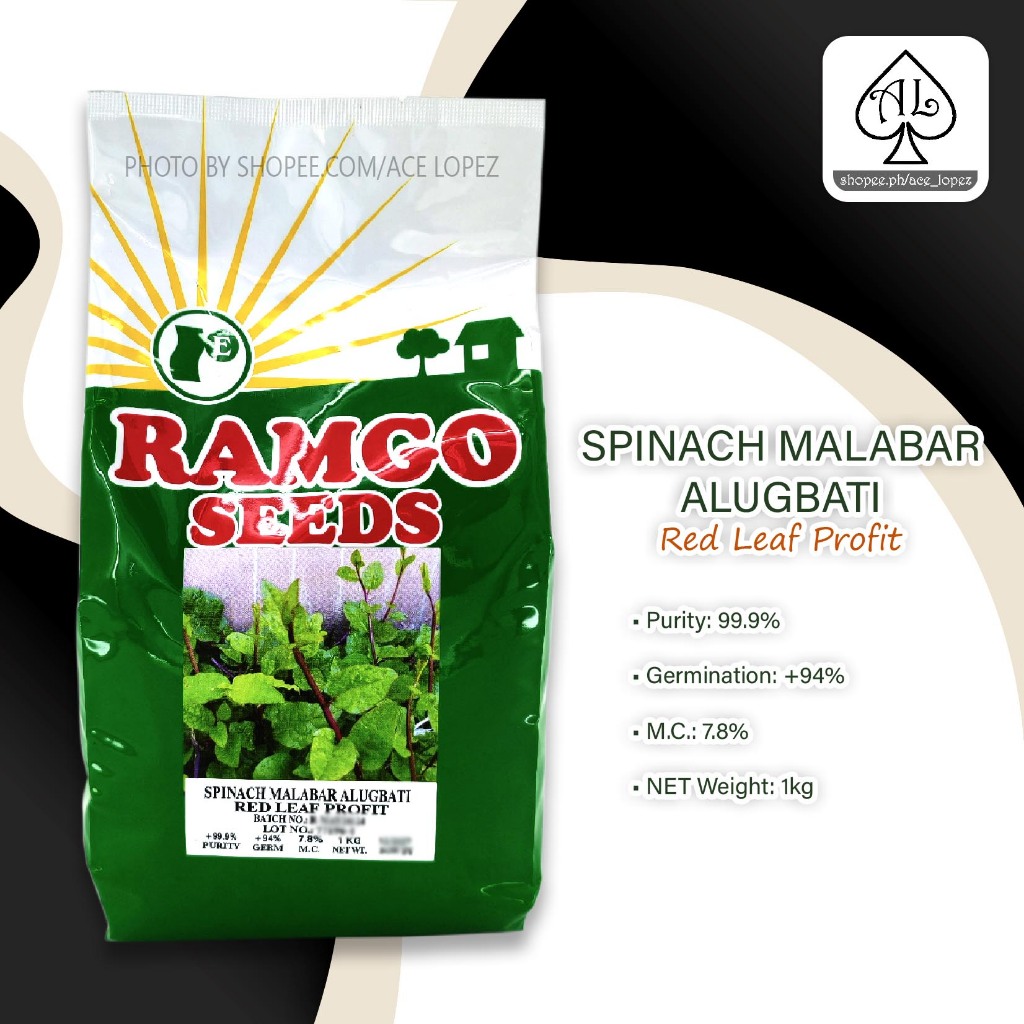 Ramgo Seeds Spinach Malabar Alugbati Red Leaf Profit 1 Kilo Pack ...