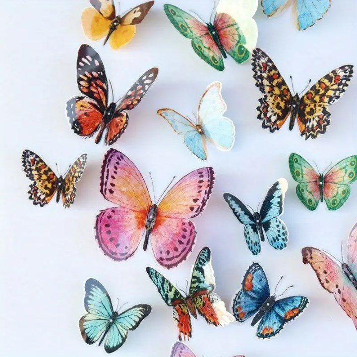CAROL | 36pcs/set 3D Butterfly Decoration – Randomly Mixed Colors ...