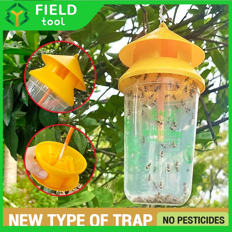 Fruit fly trap orchard vegetable sweet potato fruit fly trap (no liquid ...