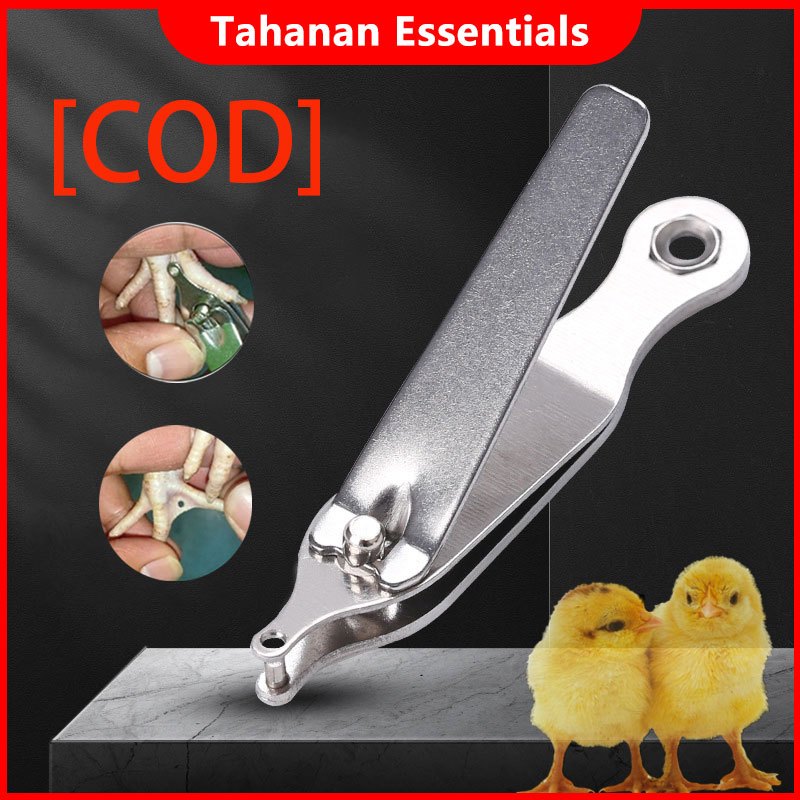 2mm Stainless Steel Chick Toe Puncher Marking Tags Gamefowl Chick for ...