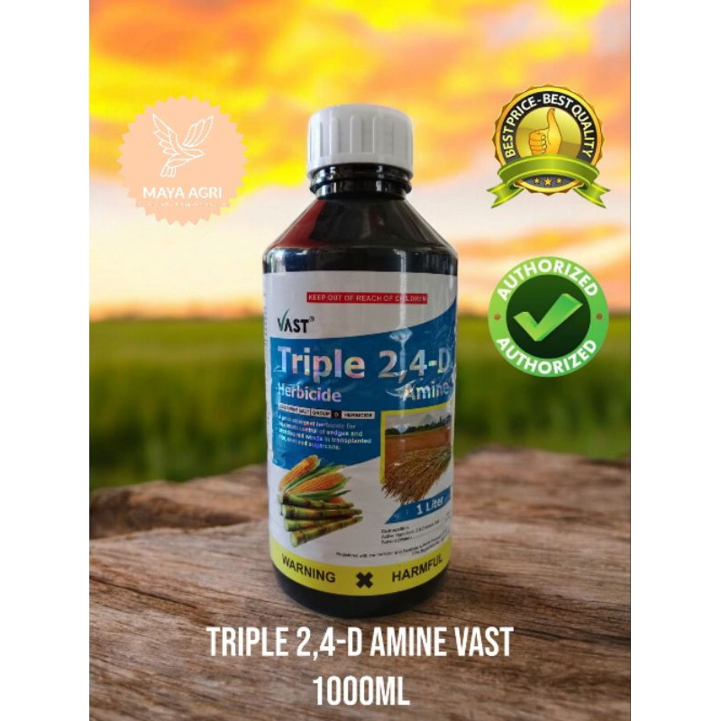 Triple 24D Amine Vast 1000ml | Shopee Philippines