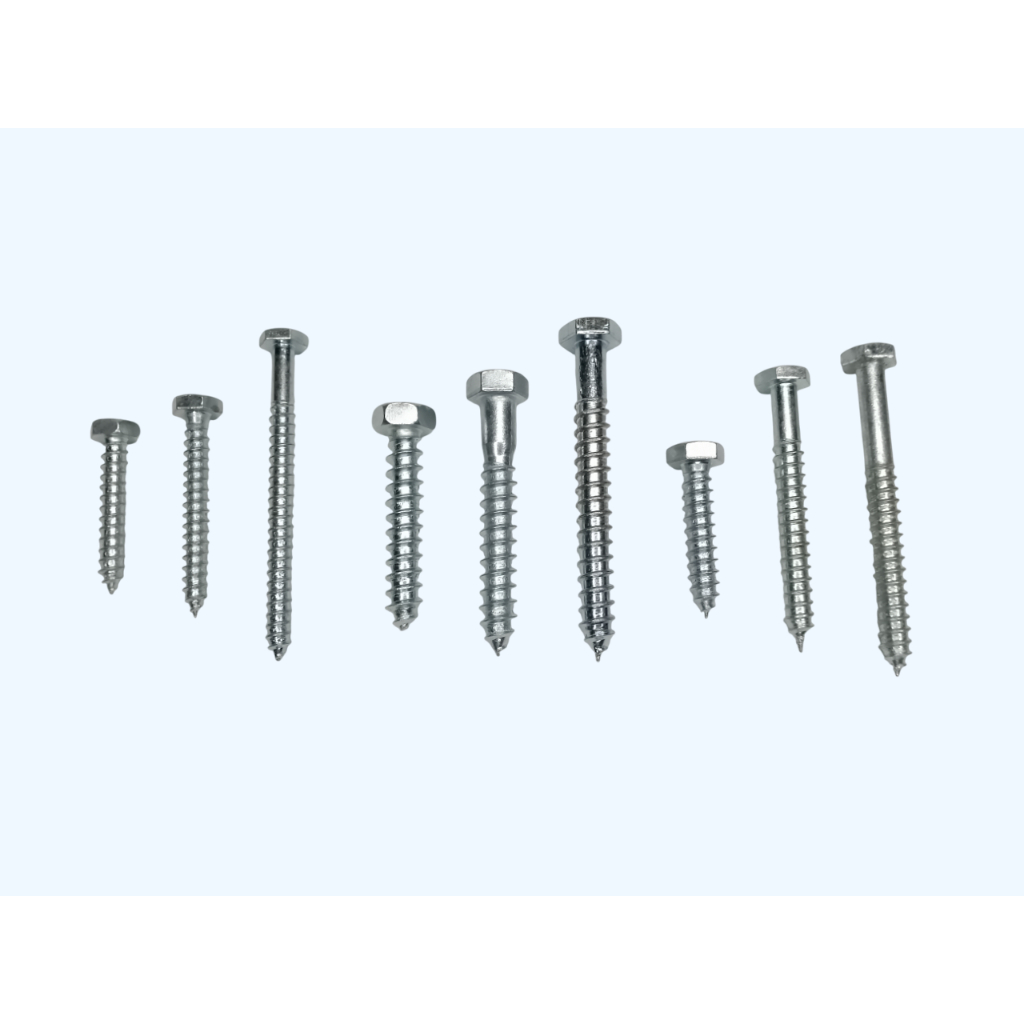 TIPID HOME LAG SCREW RUST RESISTANCE HEAVY DUTY, 1-PC per ORDER ...