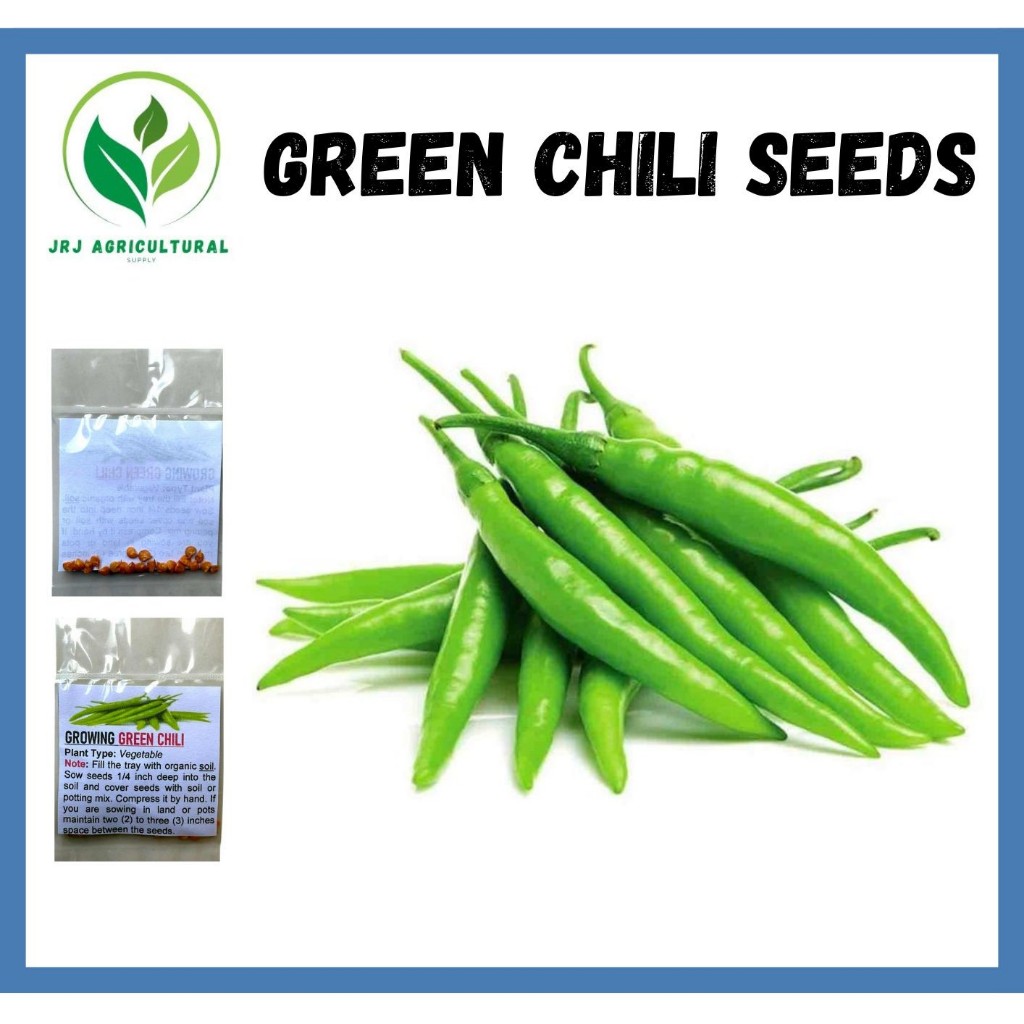 Green Chili /Siling Panigang ( 20pcs seeds ) - 1pack | Shopee Philippines