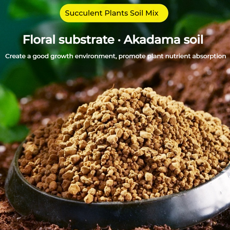 2.5Kilos Premium Akadama Soil Japanese Bonsai Soils High Quality Garden ...