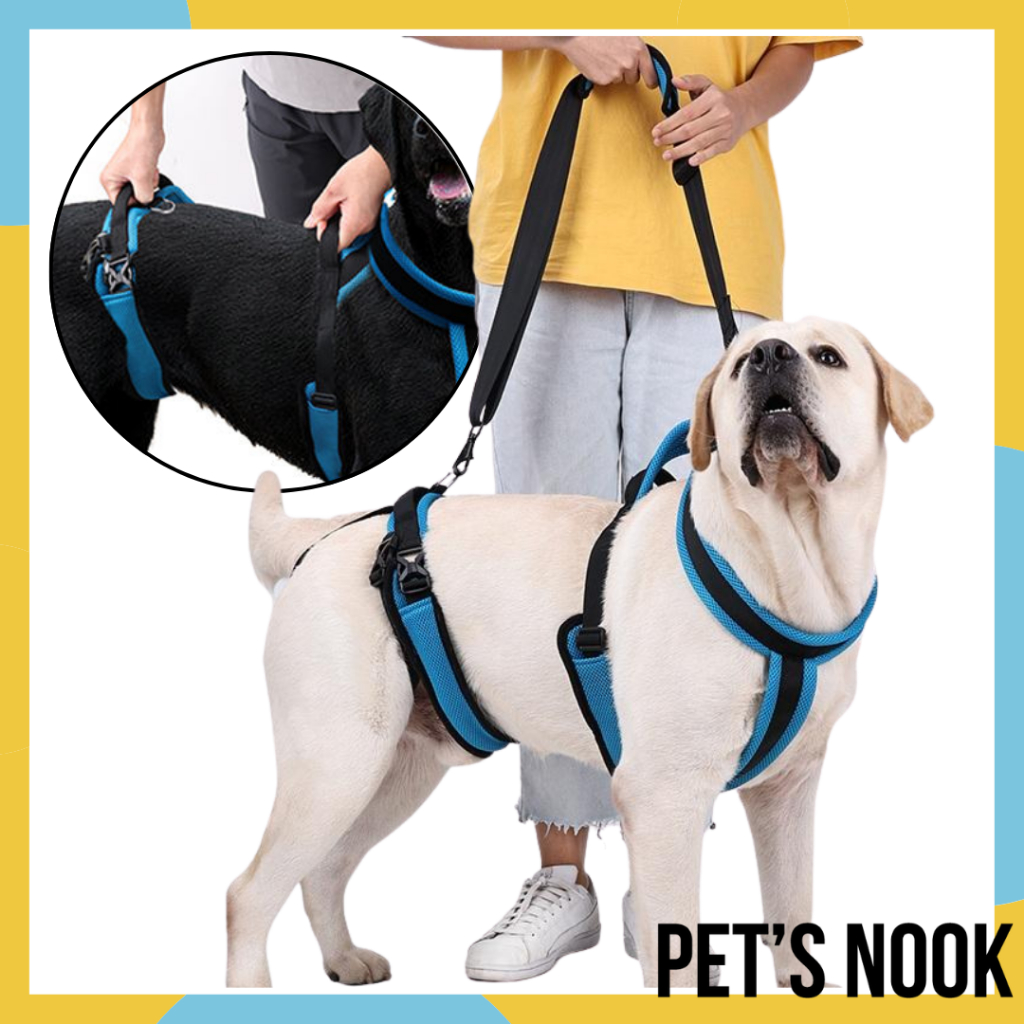 Full Body Support Harness – Front & Hind Leg Lift Harness for ...