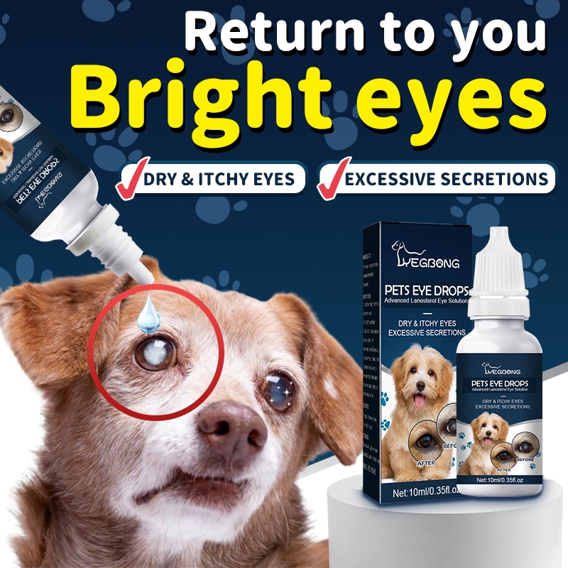 Gentamicin Sulfate Eye Drops For Infection For Dogs & Cats Eyes And ...