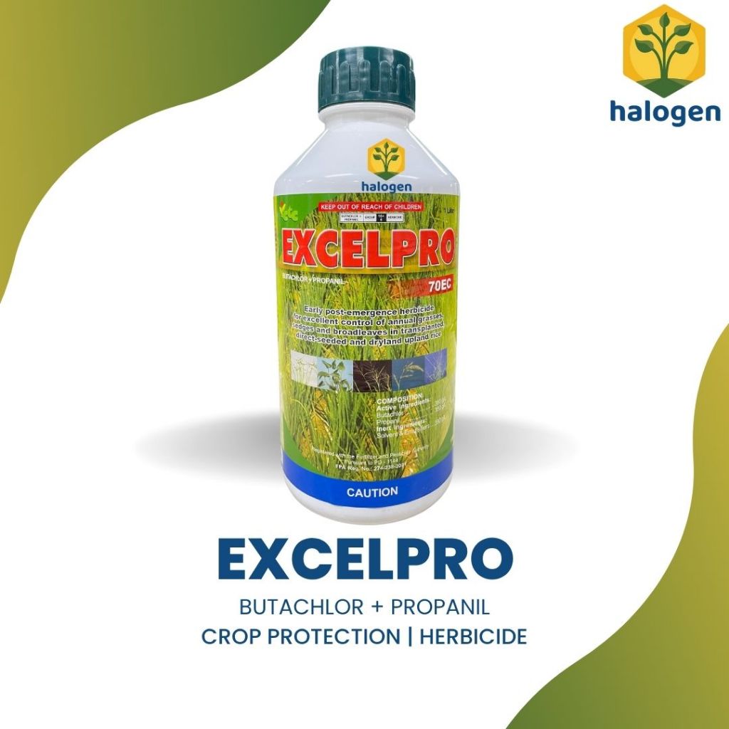 EXCELPRO | BUTACHLOR + PROPANIL – HERBICIDE KONTRA DAMO SA PALAY: SUNOG ...
