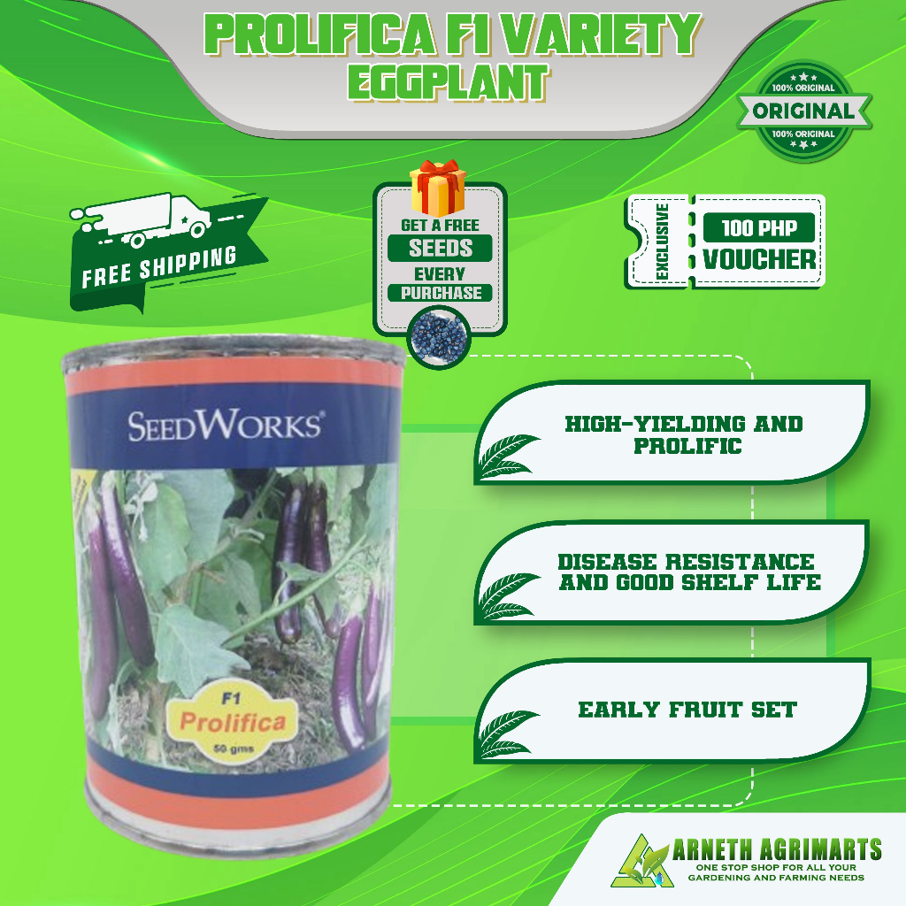ARNETH SEEDWORKS PROLIFICA F1 VARIETY EGGPLANT / TALONG SEEDS (50g CAN ...