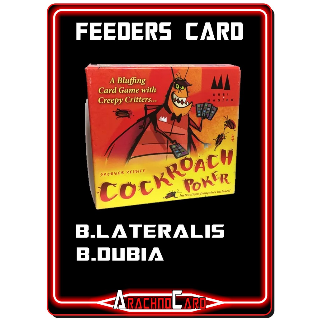 [Feeders Card] B.Lateralis and B.Dubia Collectible Cards!ArachnoMerch ...