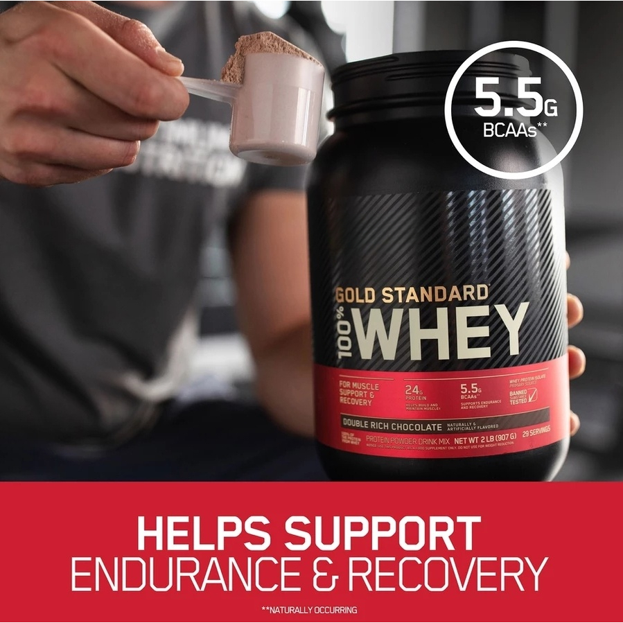 Gold Standard Whey Protein Powder 2 Lbs BCAA Supplement Authentic Gold ...