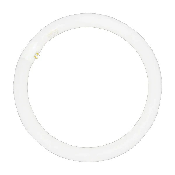 Firefly FC22/T9 Circular Fluorescent Lamp – 22W T9 Tube, Energy ...
