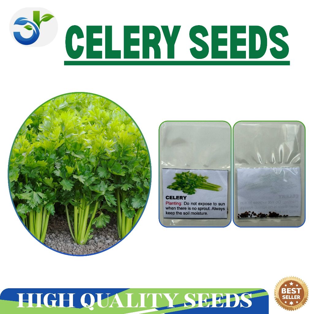 Celery Seeds / Hybrid / High quality / 50seeds - (1pack) | Shopee Philippines