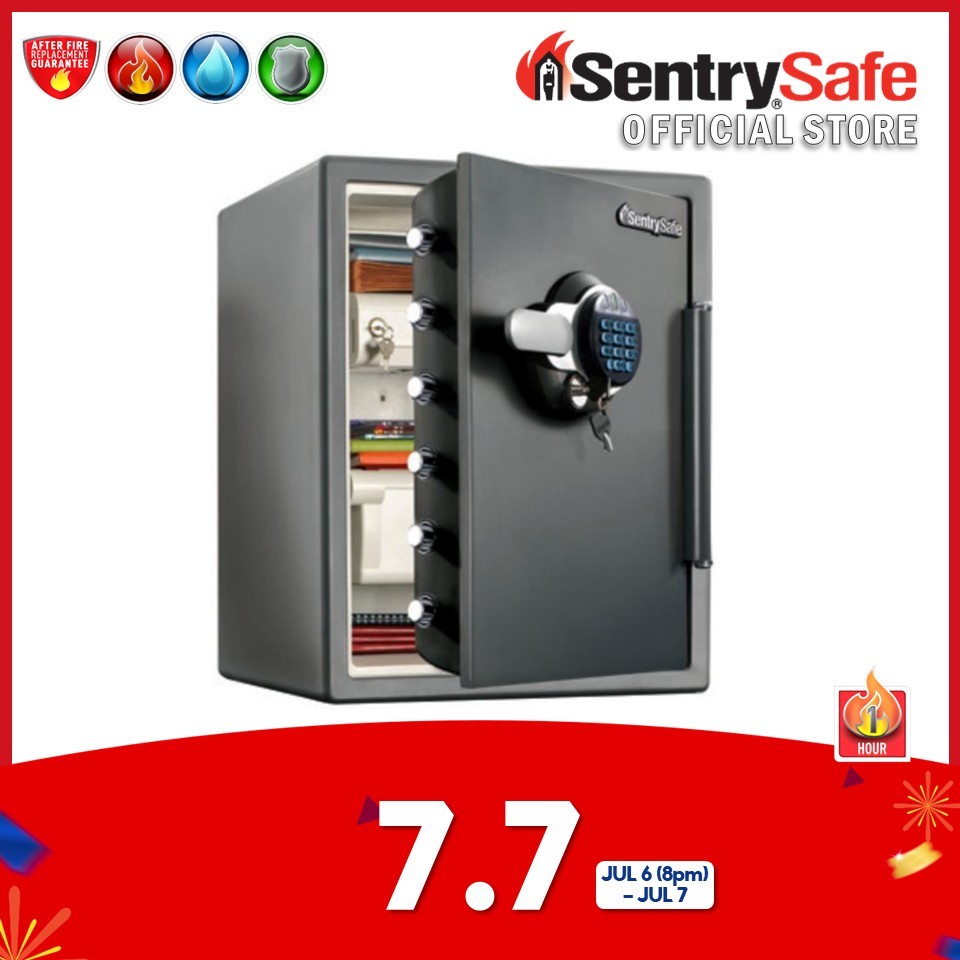 SENTRY SAFE STW205GYC 2-Hour Fire + Water + Security Protection XL ...