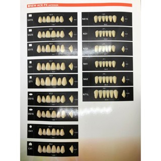 New Ace PX Shade A1, A2 Composite Resin Teeth Anterior/ Posterior ...