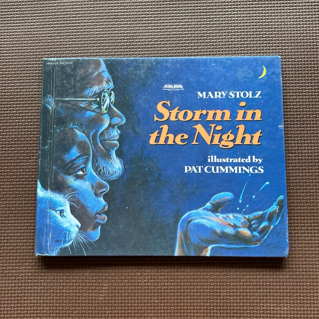 Storm in the Night (Hardcover) | Shopee Philippines