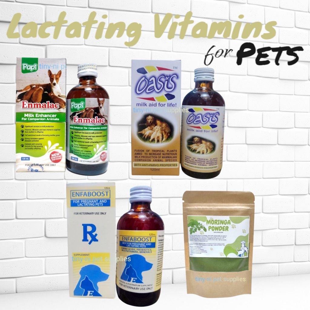VitaminPet for Lactating Dog Cat|Oasis Enmalac Moringa Calcare Nutrical ...